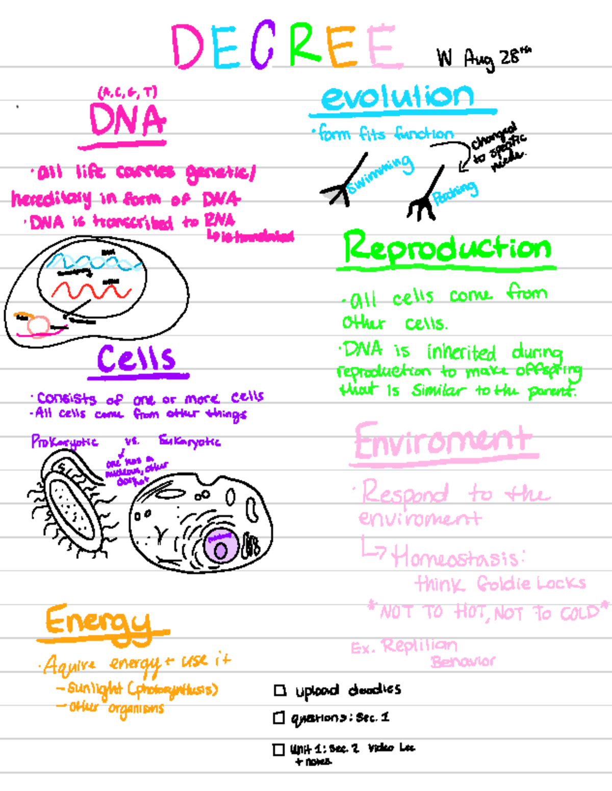 Bio 148 Aug 28 Participation - DEGREE W Aug 28th & (A, C , G, T ...