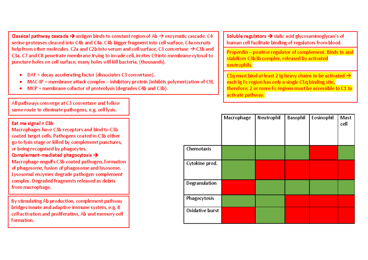 Complement in immune system - Warning: TT: undefined function: 32 Warning: TT: undefined ...