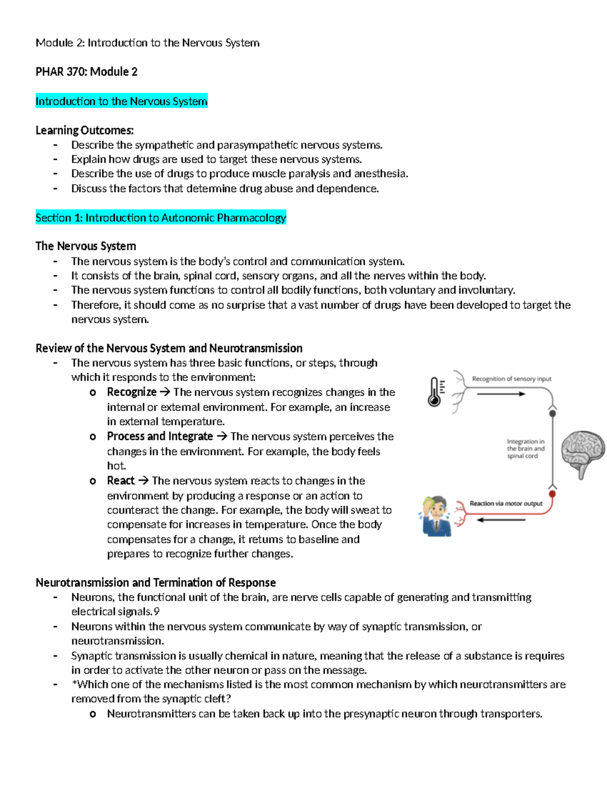 Module 2 section 1 - Module 2: Introduc on to the Nervous System PHAR ...
