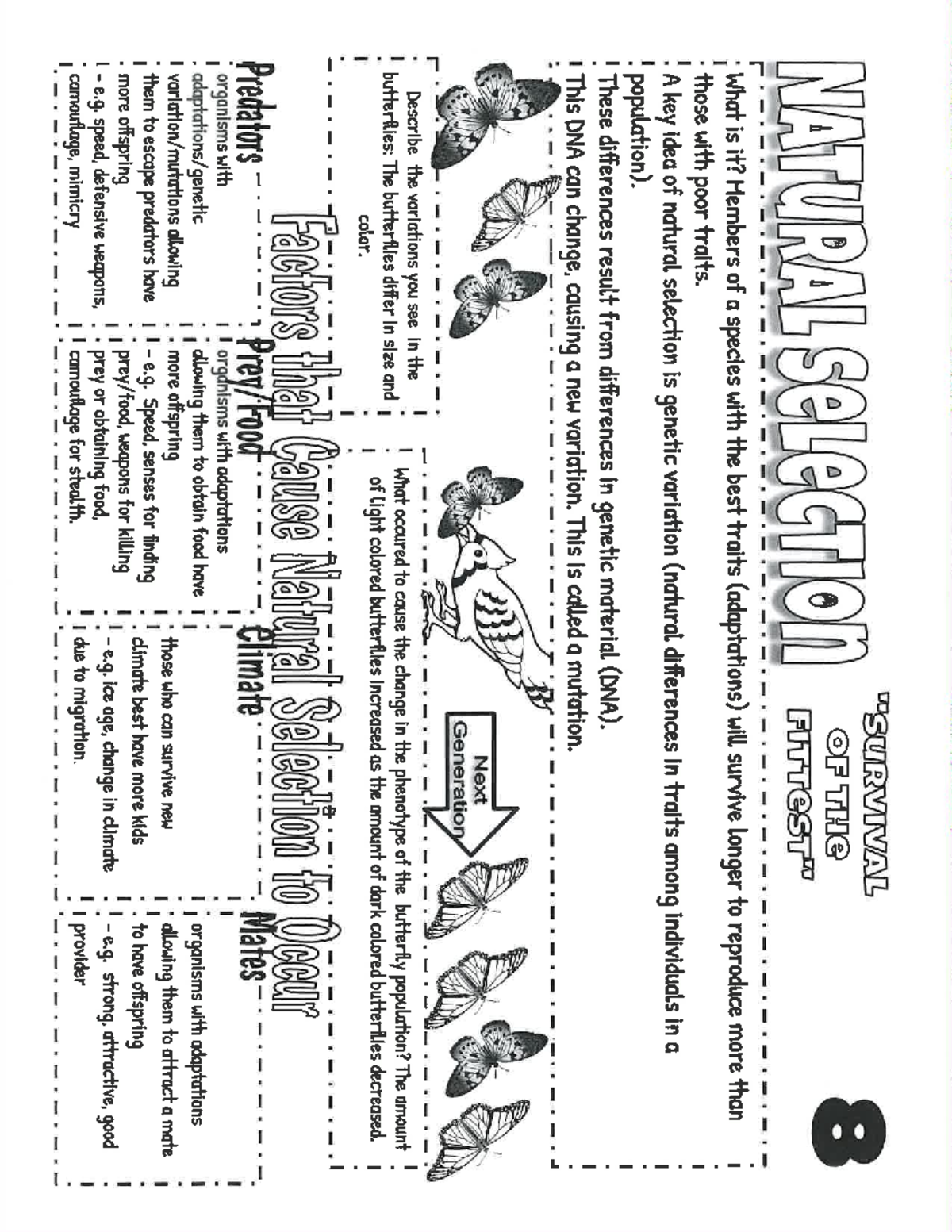 0625 001 - nothing - Studocu