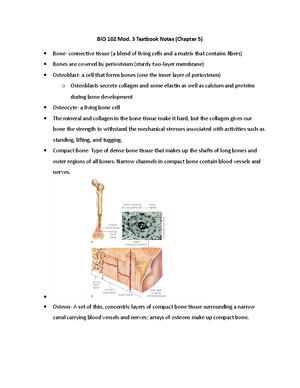 BIO 102 Alcohol's Effect on Body Notes - BIO 102: Alcohol’s Effects on ...