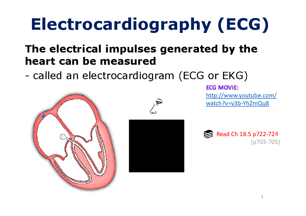 ECG - Lecture notes 4 - Electrocardiography (ECG) The electrical ...