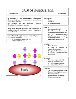 Tabla Clasificacion de Fredrickson - CLASIFICACIÓN DE FREDRICKSON ...