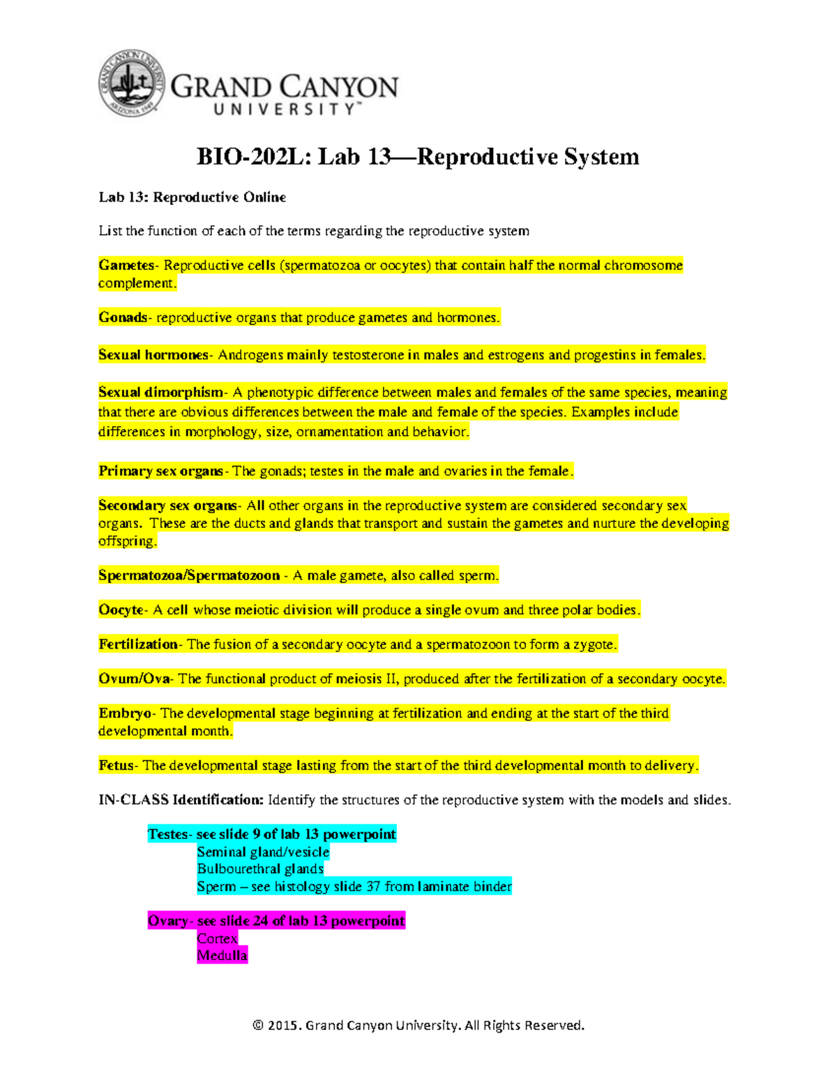 Lab 13 Reproductive System Terms List - BIO-202L: Lab 13—Reproductive ...