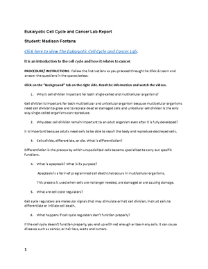 CEIS114 SA Guide - Module 6 DOIT Devkit - Course Project – Module 6 ...