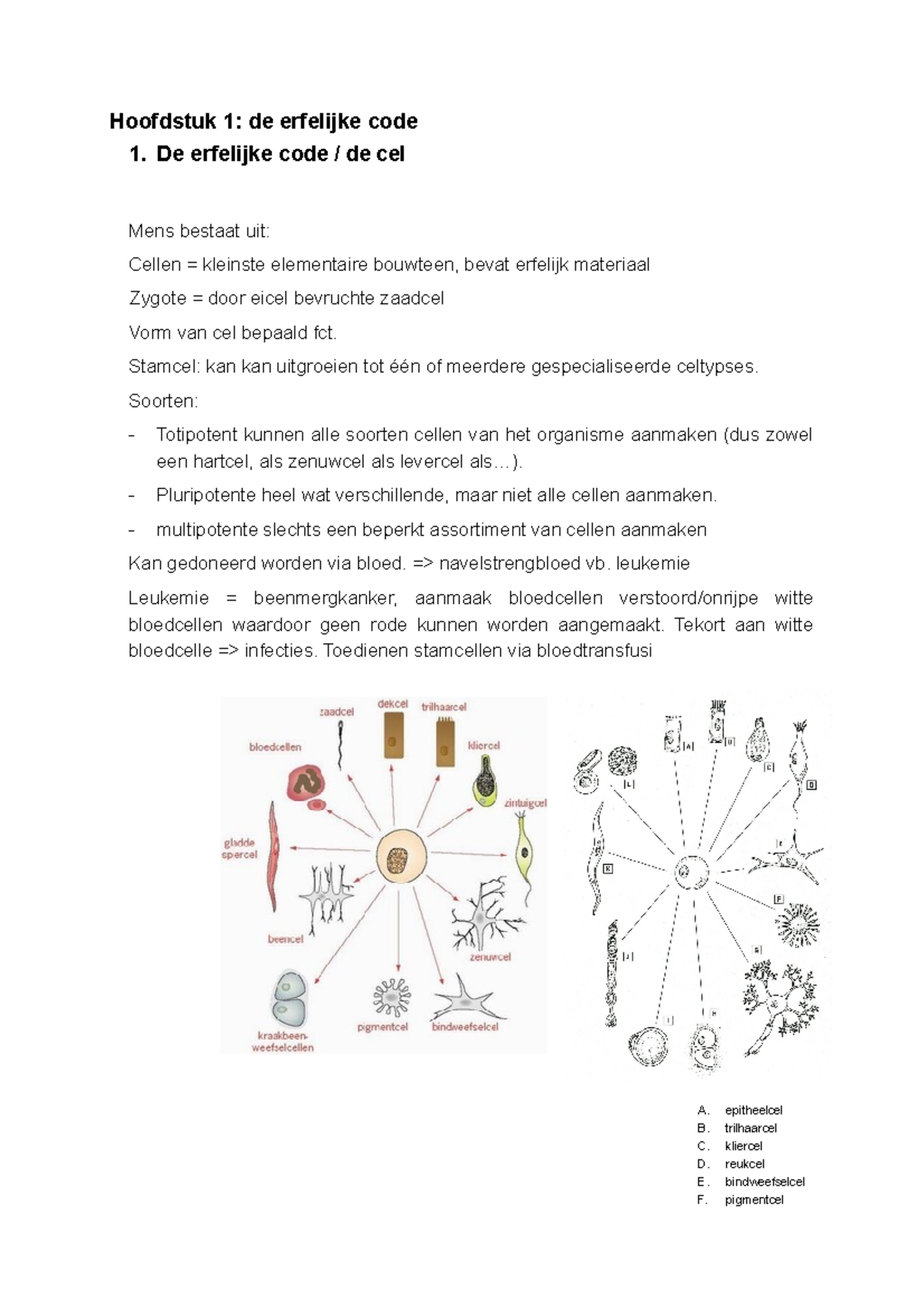 Erfelijkheidsleer samenvatting - Hoofdstuk 1: de erfelijke code 1. De ... Erfelijkheidsleer samenvatting - Hoofdstuk 1: de erfelijke code 1. De ...
