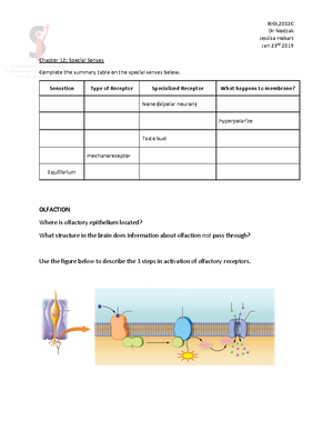 Chapter 19 - Blood - Notes from textbook - 9 1 Overview of Blood bout 5 ...