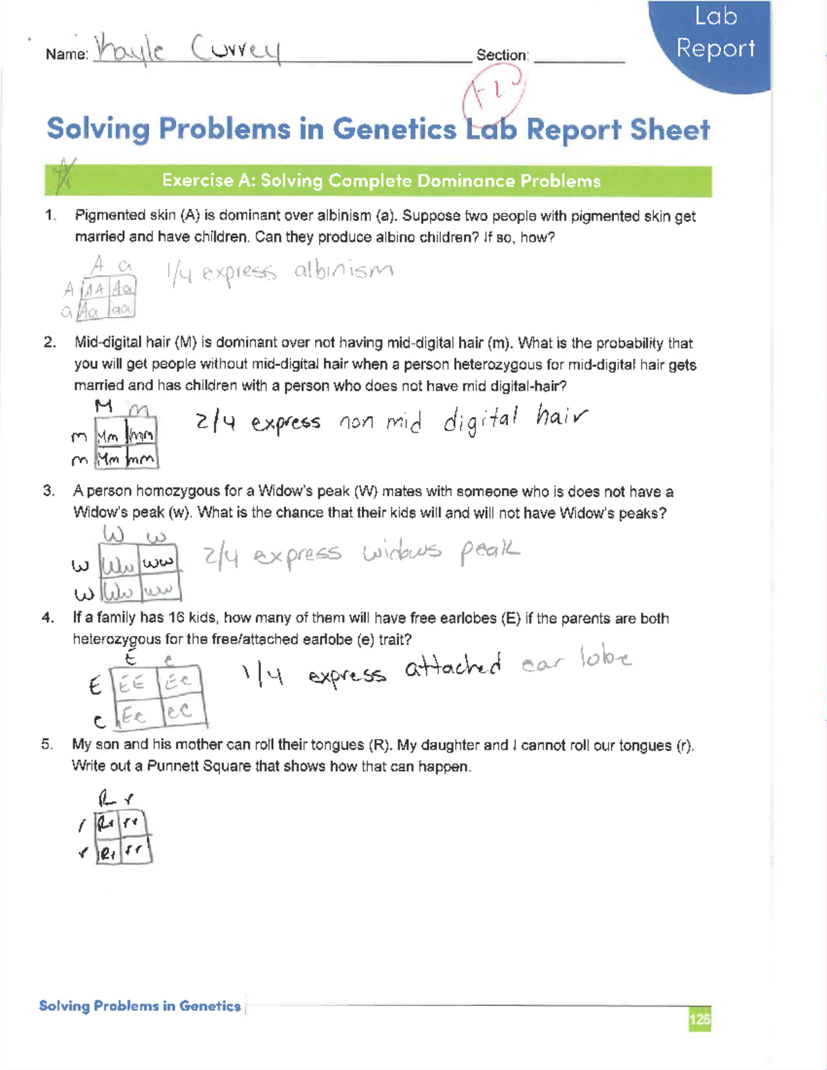 BSC2010 C Genetics lab - BSC 2010C - Studocu