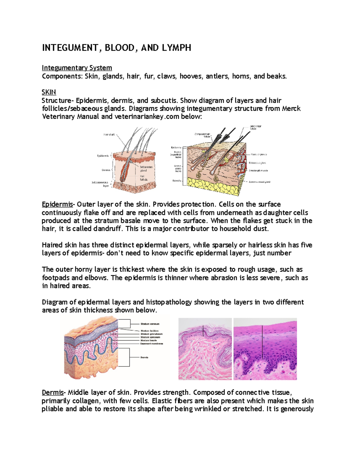 2- Integument, Blood, and Lymph - INTEGUMENT, BLOOD, AND LYMPH ...