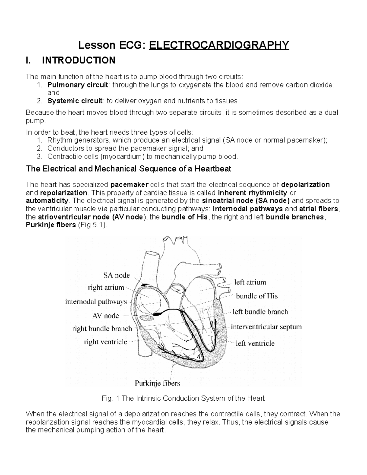 ECG Submission Work - Anatomy and physiology lab that focuses on an ECG ...