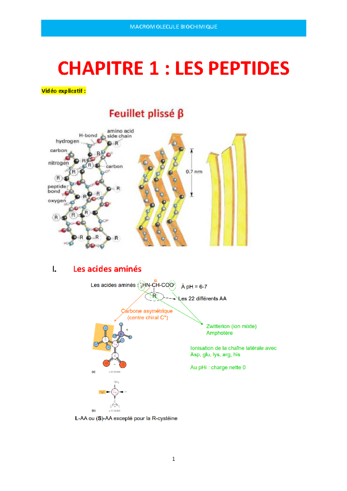Chapitre 1 - Les protides - MACROMOLECULE BIOCHIMIQUE CHAPITRE 1 : LES ...