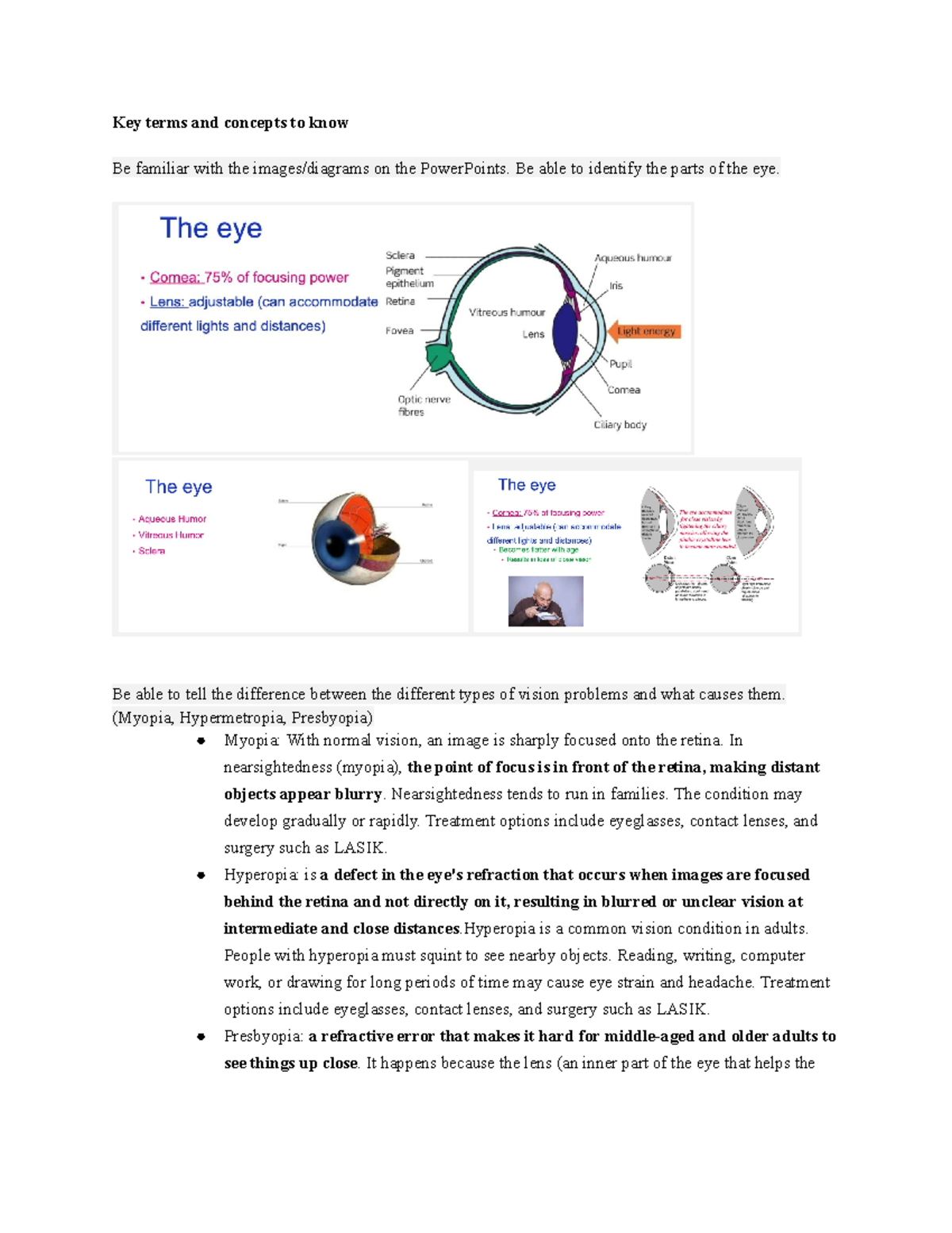 Keyterm for Perception Notes - Key terms and concepts to know Be ...