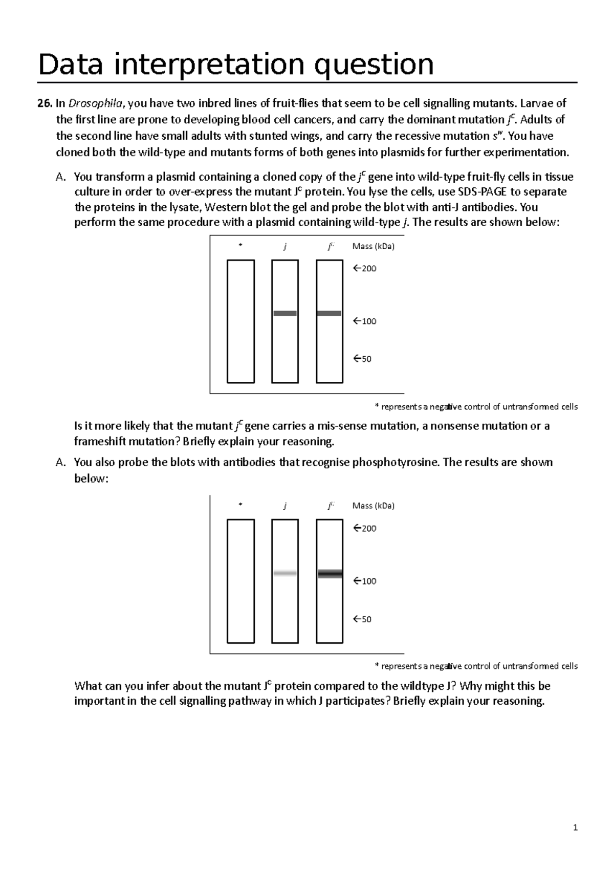 Data interpretation on drosophila signalling mutants - Data ...