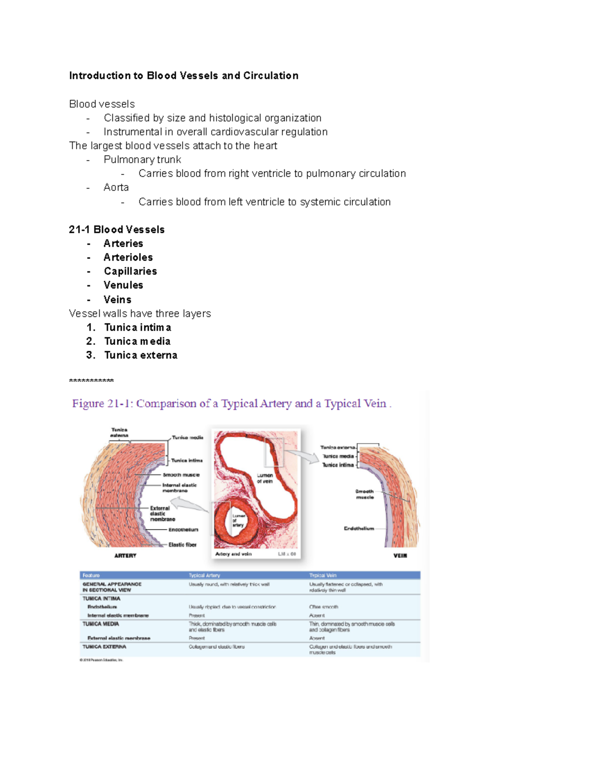 BIO222 Chapter 21 Notes - Introduction to Blood Vessels and Circulation ...