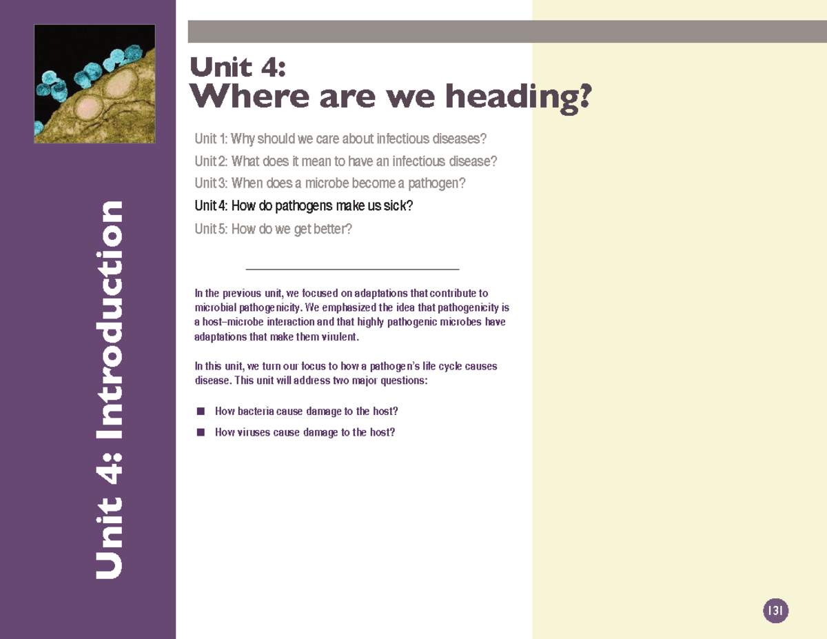 ID 2.2 Lesson 4.1 Workbook - Unit 4: Introduction Unit 4: Where are we ...