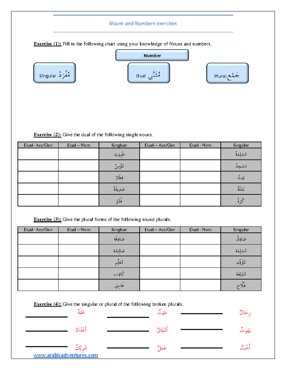 arabic nouns revision - Nouns and Numbers exercises Exercise (1): Fill ...