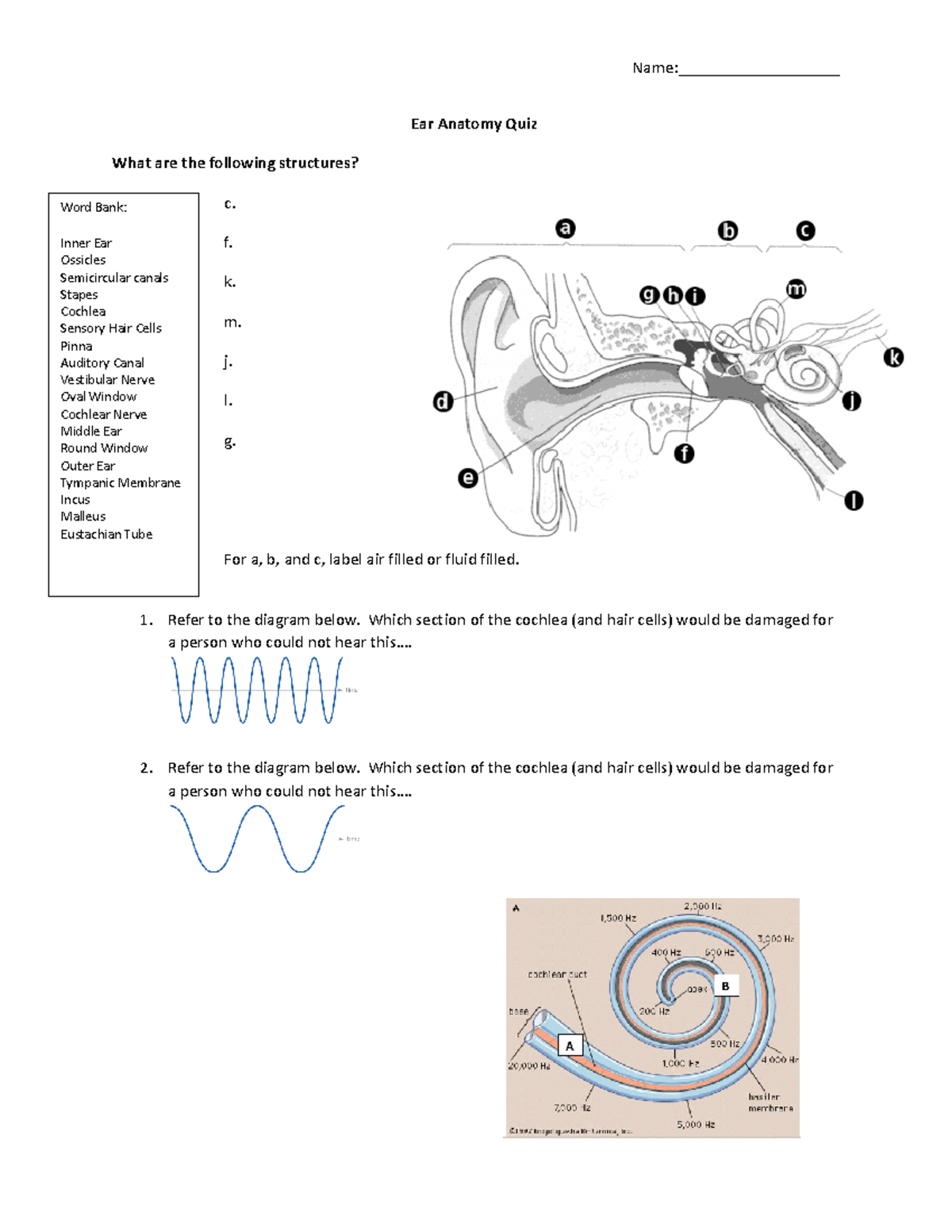 Practice ear and sound quiz 2020 - 2021 - Name:___________________ Ear ...
