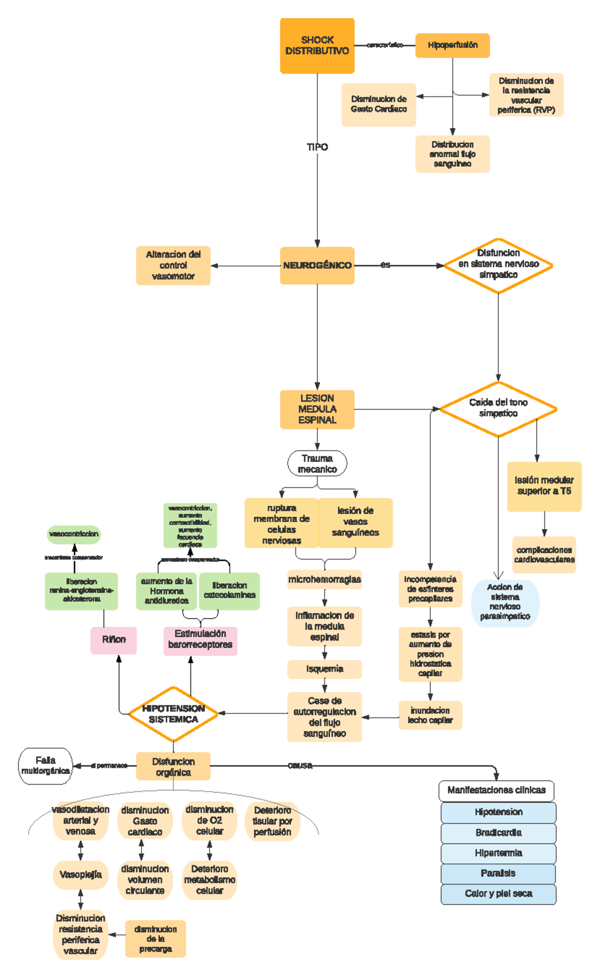 Shock hipoperfusion - SHOCK DISTRIBUTIVO Disminucion de la resistencia ...