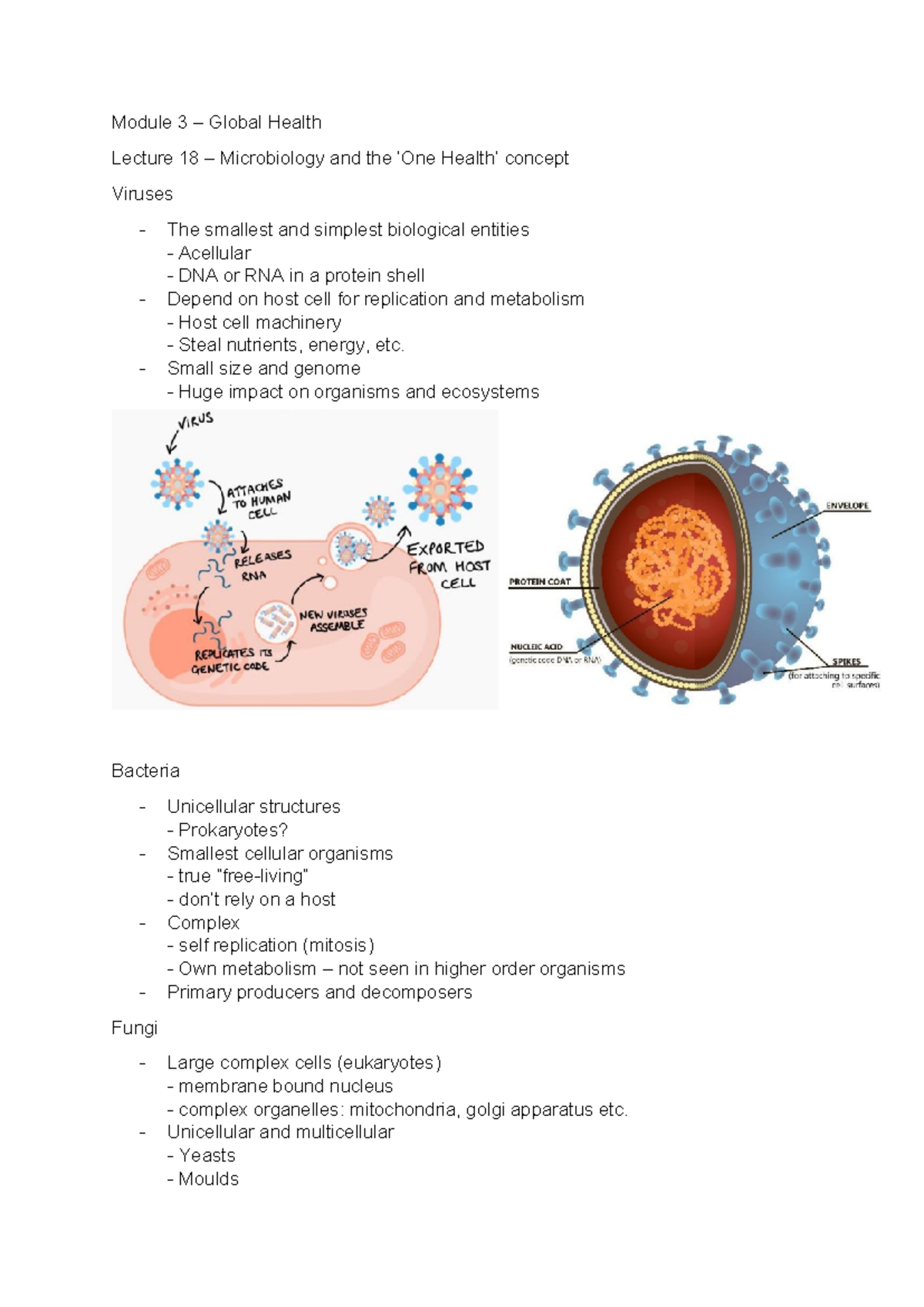 Module 3 - Module 3 – Global Health Lecture 18 – Microbiology and the ...