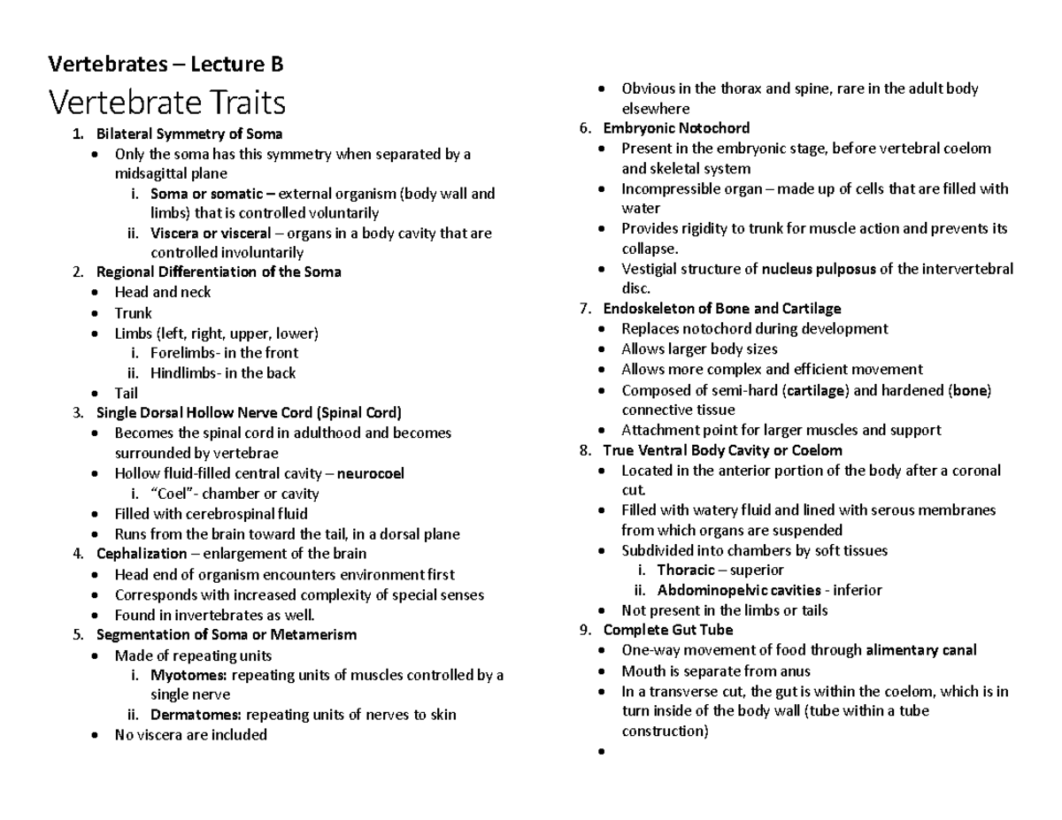 Vertebrate Traits - Vertebrates – Lecture B Vertebrate Traits Bilateral ...