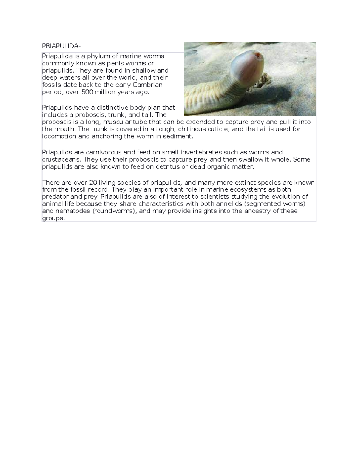 Priapulida - PRIAPULIDA- Priapulida is a phylum of marine worms ...