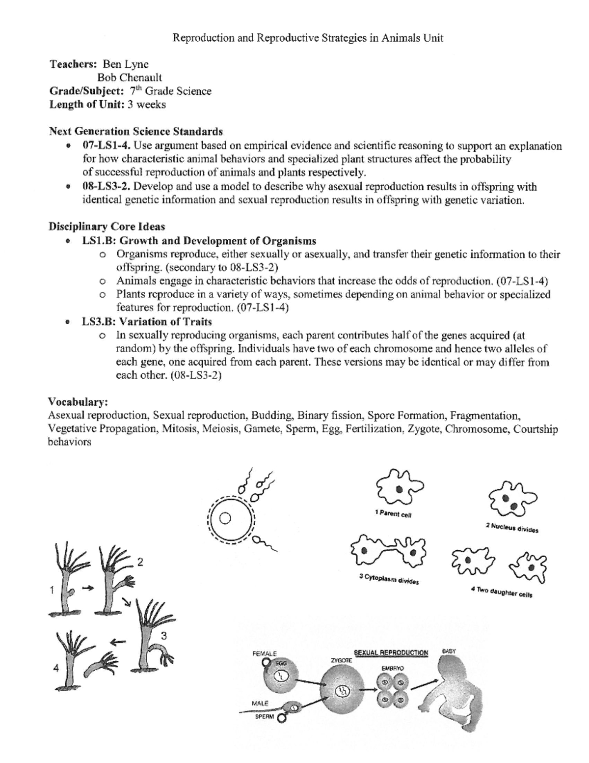 Rep. packet 17-18 - Genetics Worksheet - science - Studocu