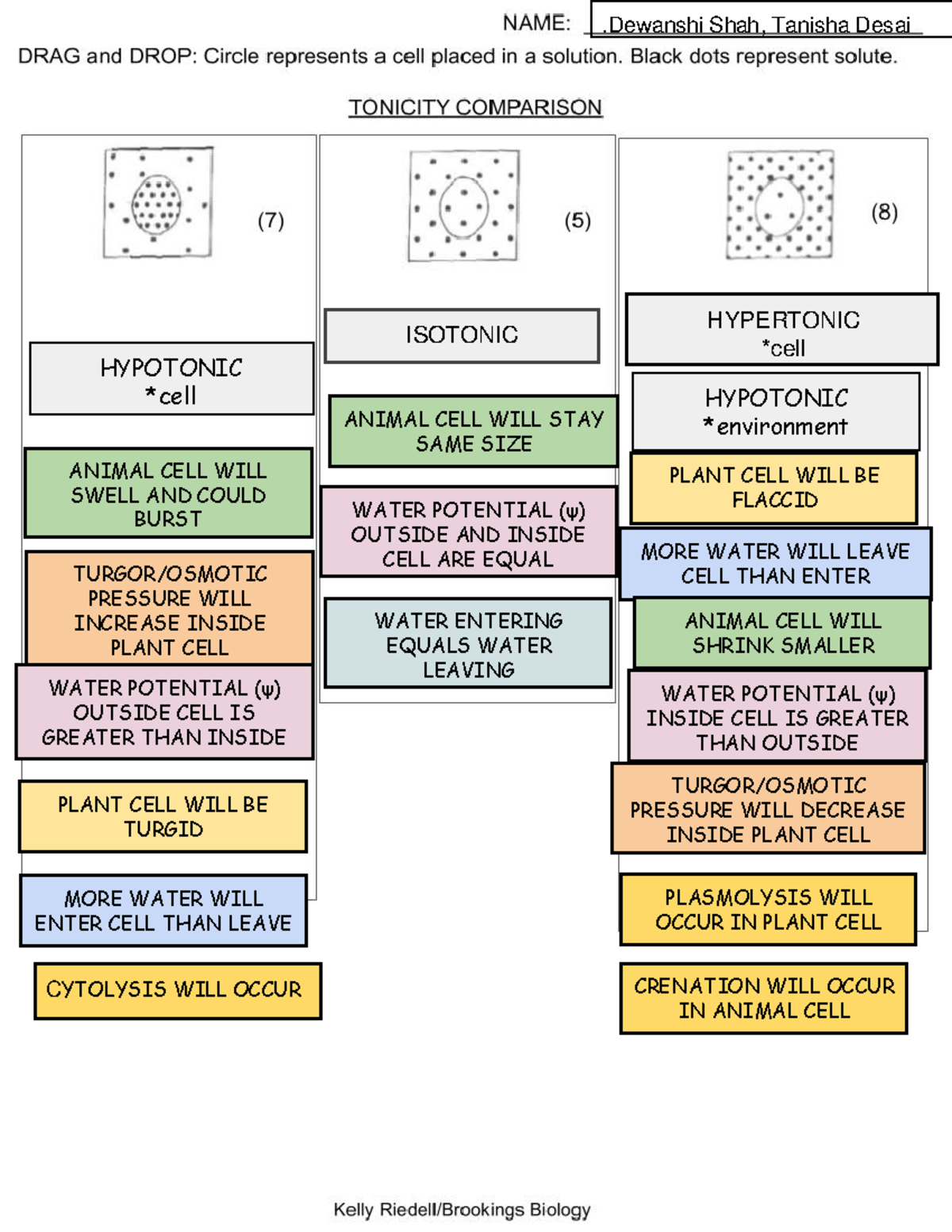 Tonicity Comparison Drag and Drop copy by Kelly Riedell Nov2020 ...