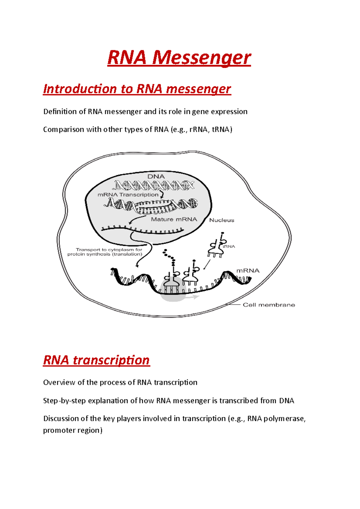 RNA Messenger - , rRNA, tRNA) RNA transcription Overview of the process ...