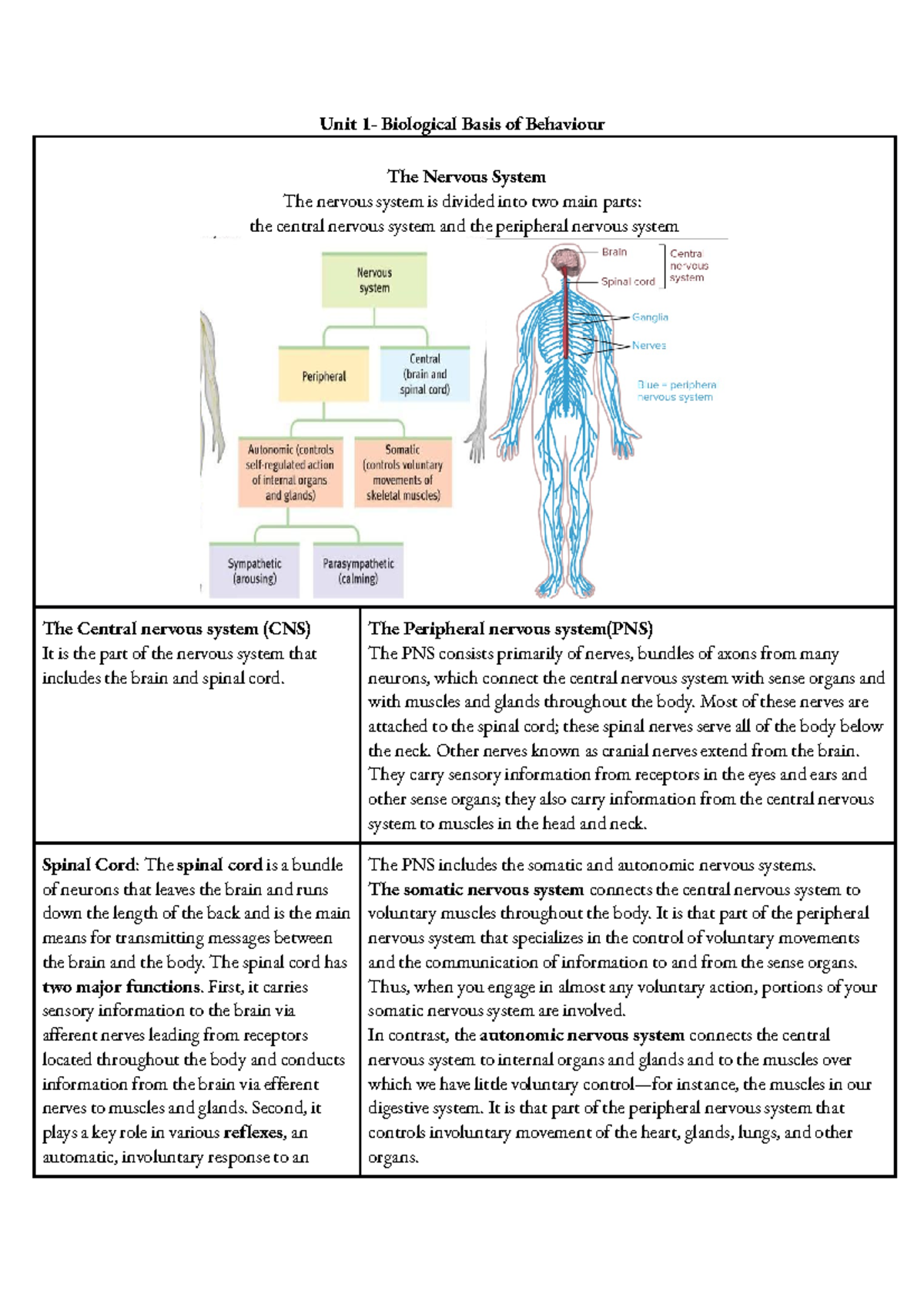 Chapterwise Notes - Unit 1- Biological Basis of Behaviour The Nervous ...