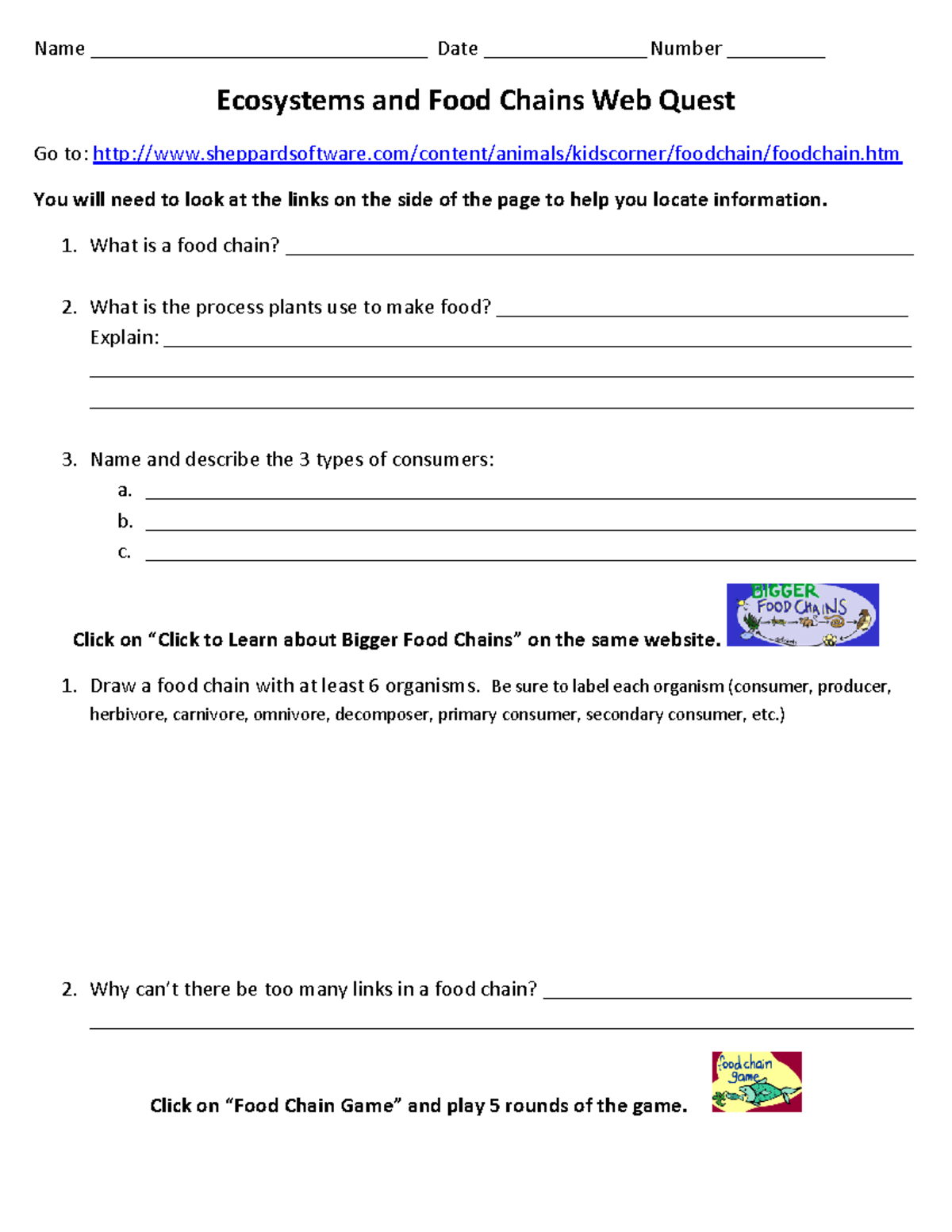 Food web webquest study guide - Name ...