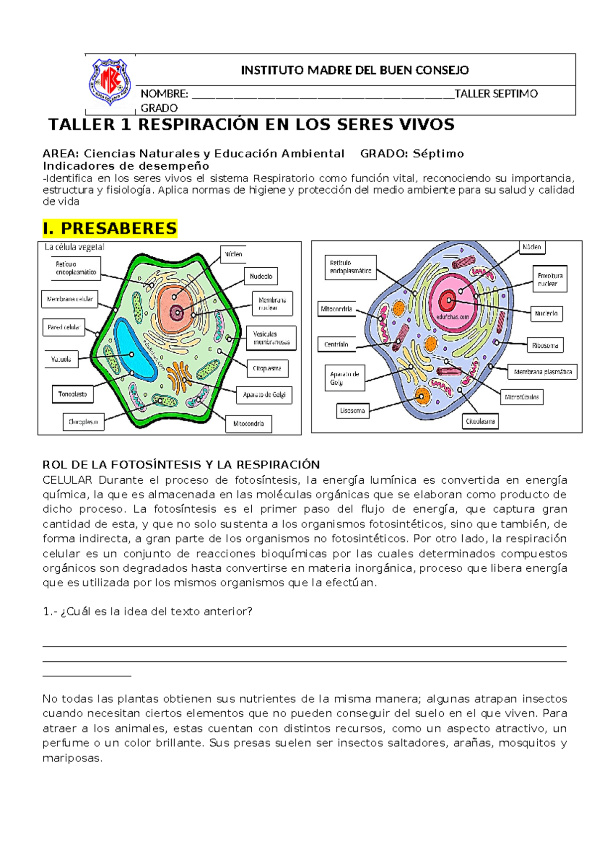 Conceptos Y Taller Fotosintesis Y Respiración Celular - INSTITUTO MADRE ...