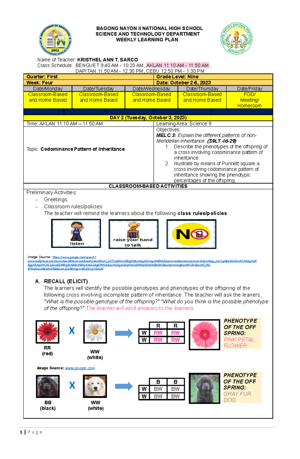 Q1-CO1 - CODOMINANCE PATTERN OF INHERITANCE - Lesson Plan for Classroom ...