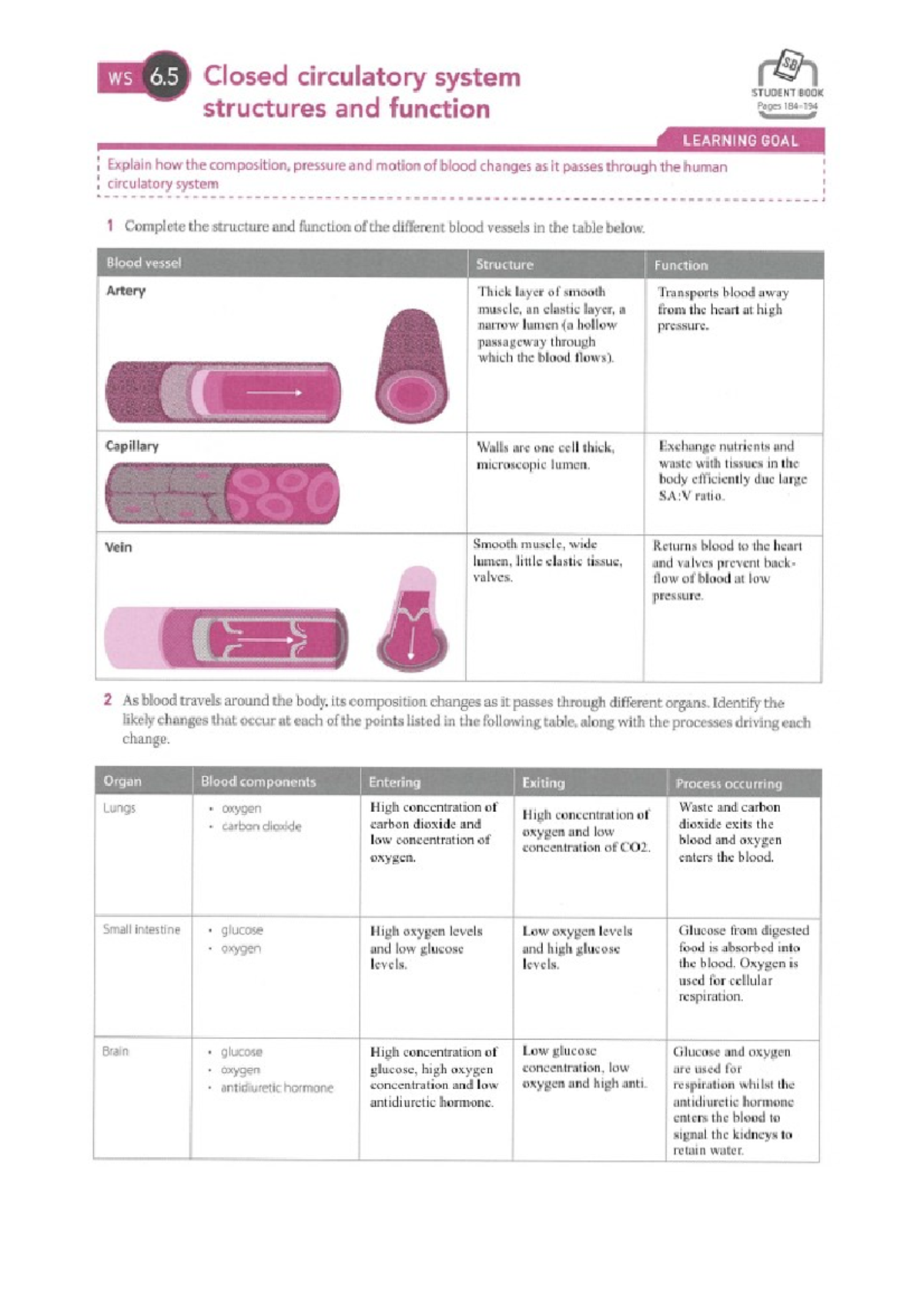Closed Circulartory System Structures and Function - Studocu