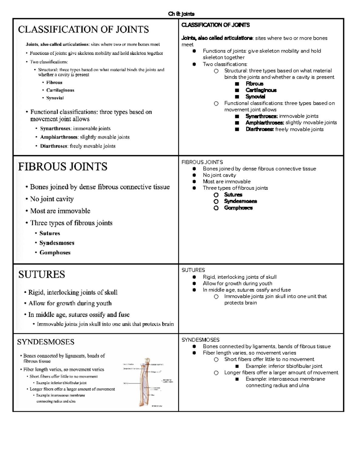 8 chap human anat - Ch 8 : joints CLASSIFICATION OF JOINTS Joints, also ...