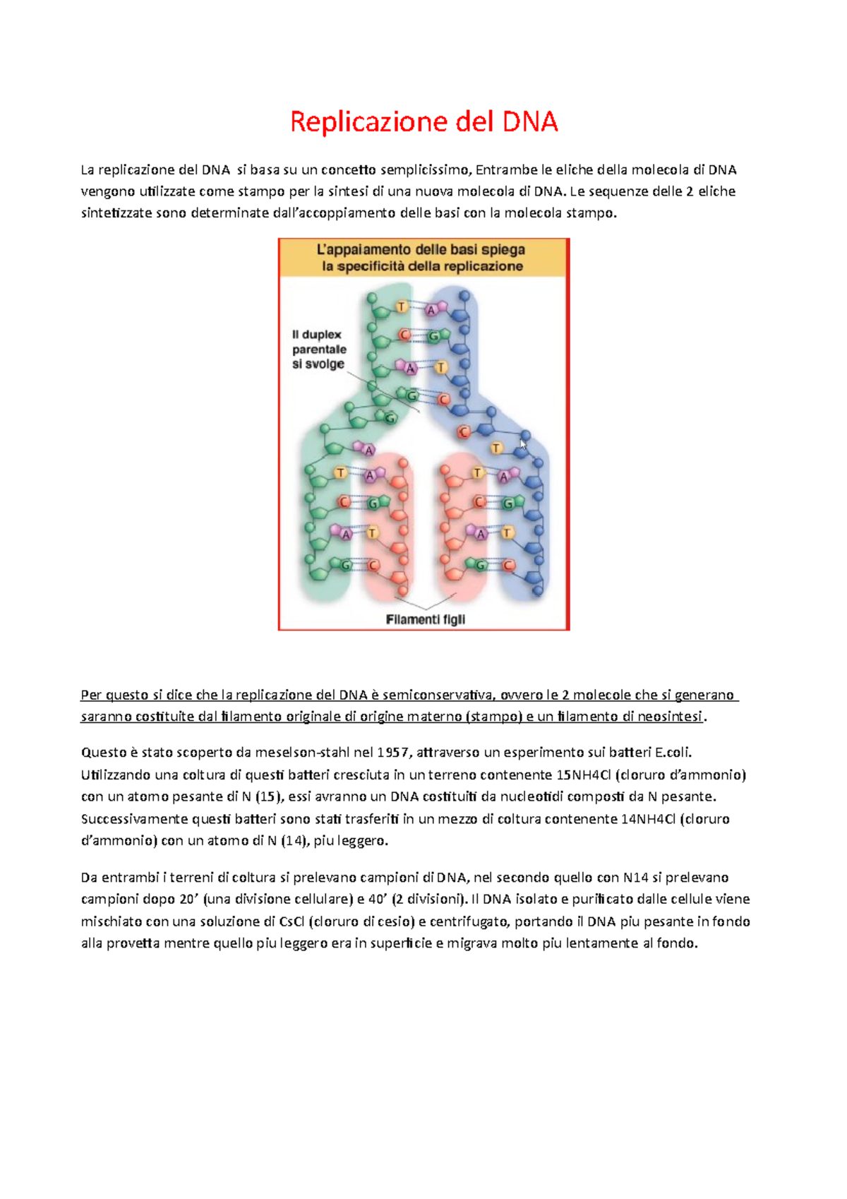 Appunti di Biologia Molecolare su Replicazione DNA - Replicazione del DNA La replicazione del ...