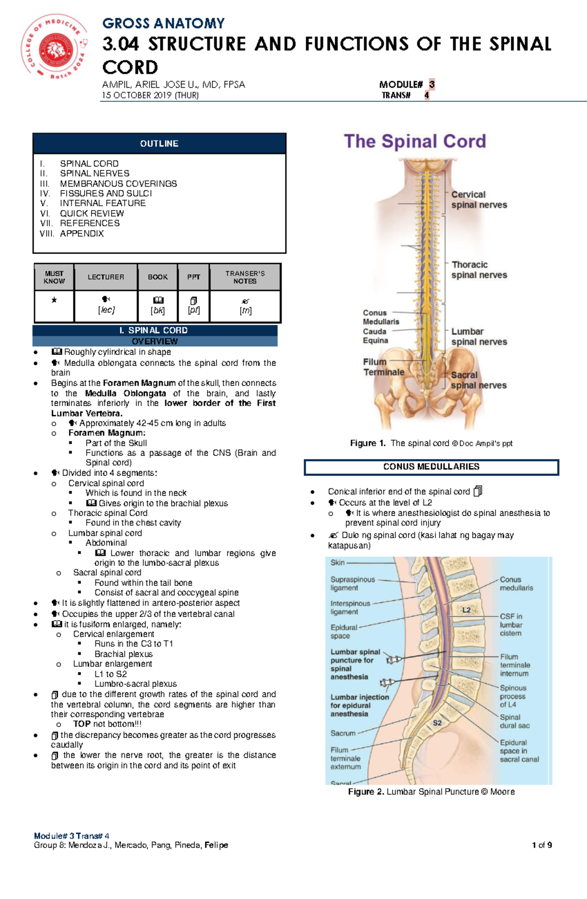 Structures-and-Functions-of-Spinal-Cord - GROSS ANATOMY 3 4 STRUCTURE ...