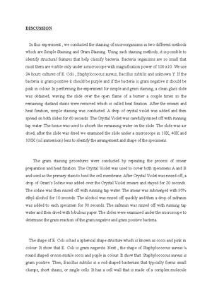 BIO461 Conclusions LAB Report - Google Docs - LAB 1 In conclusion, the ...