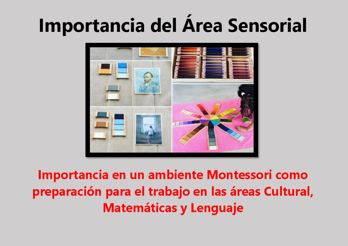 Importancia ÁREA Sensorial - Importancia del Área Sensorial Importancia ...