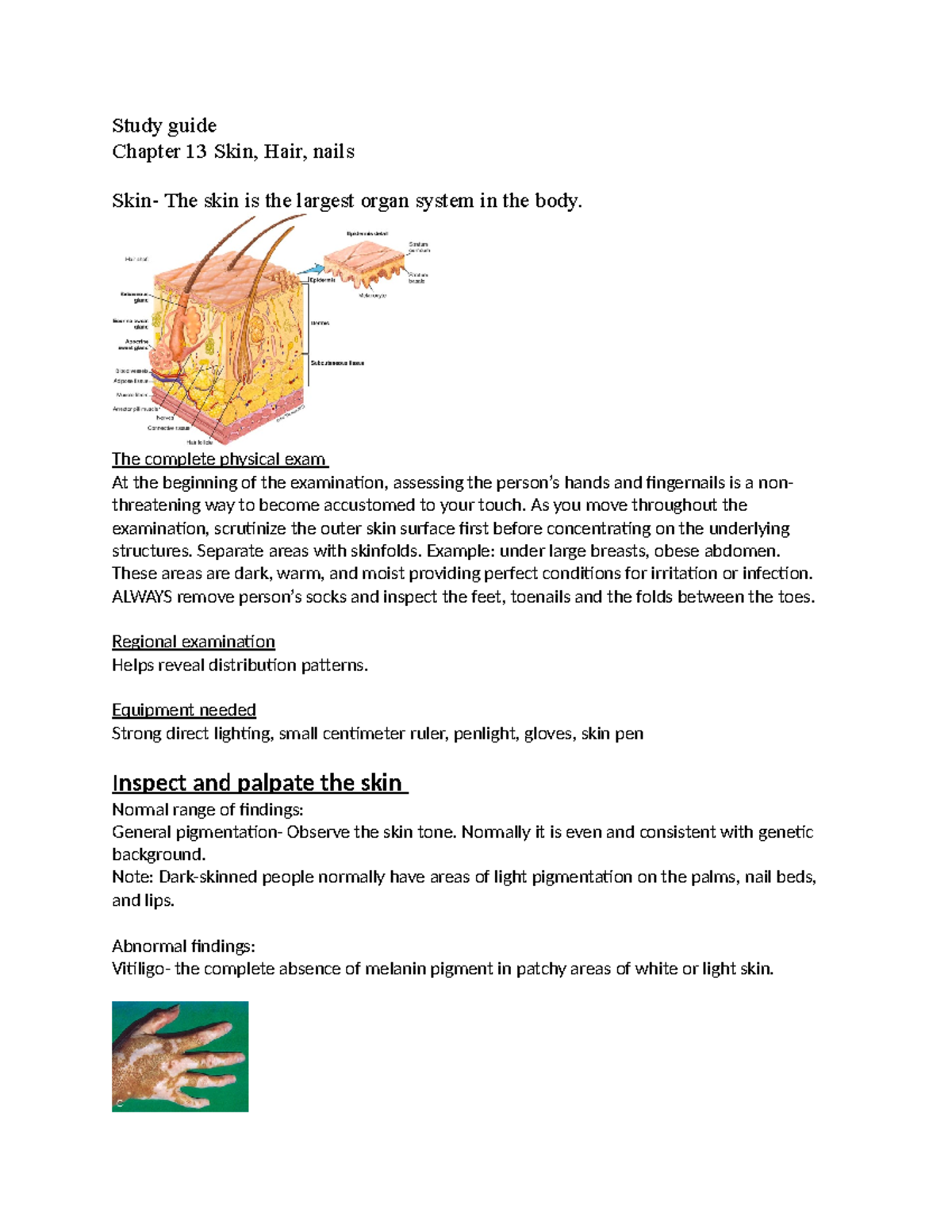 Study Ch13 Skin, Hair, nails - Study guide Chapter 13 Skin, Hair, nails ...