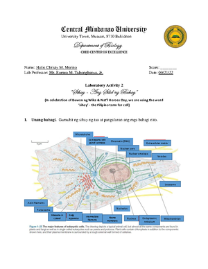 Anaph-LAB- Notes - ANAPHY NOTES FOR LABORATORY Anatomy (ah-NAT-oh-mee ...