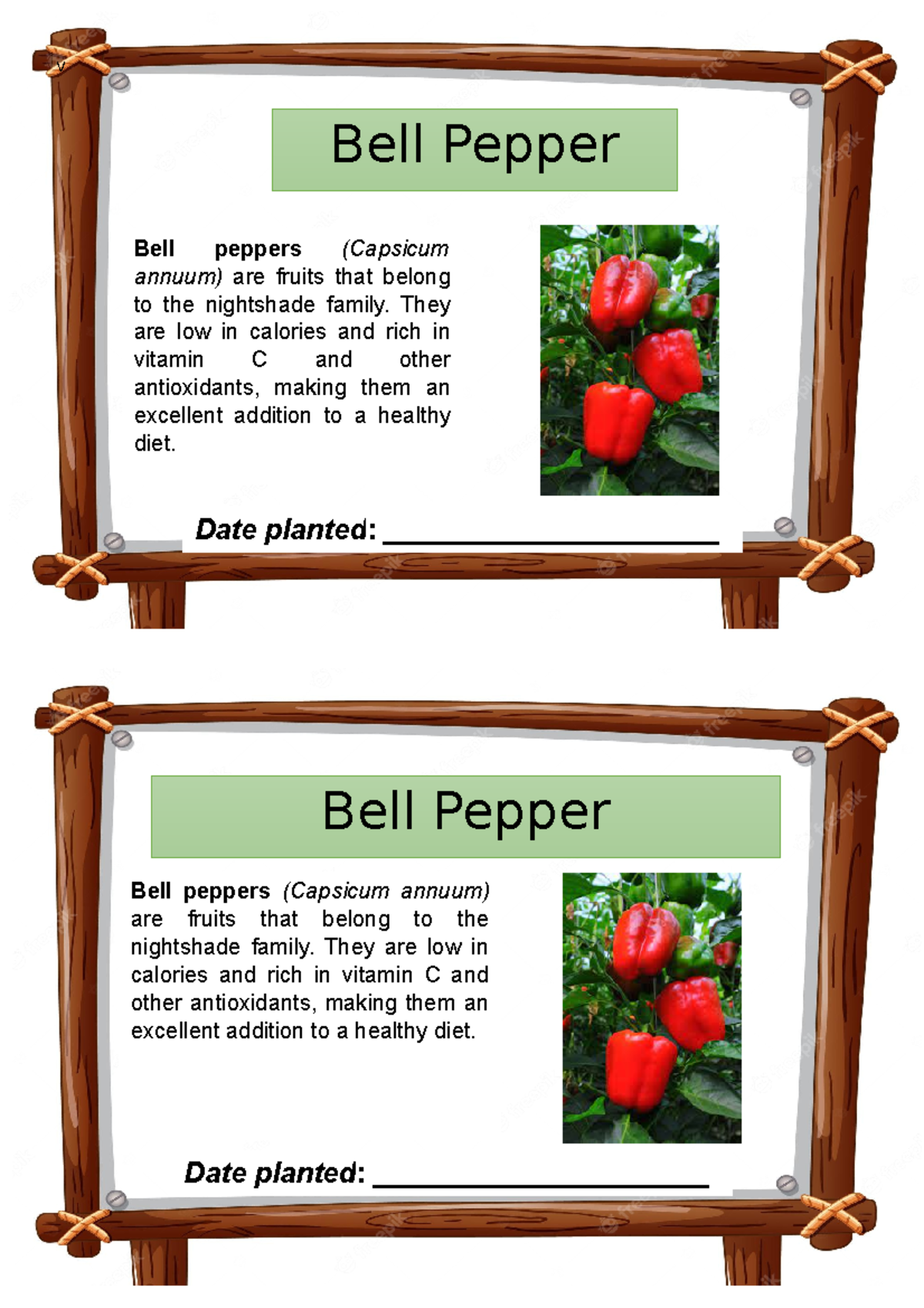 Vegetable-label - LABEL - V Bell peppers (Capsicum annuum) are fruits ...
