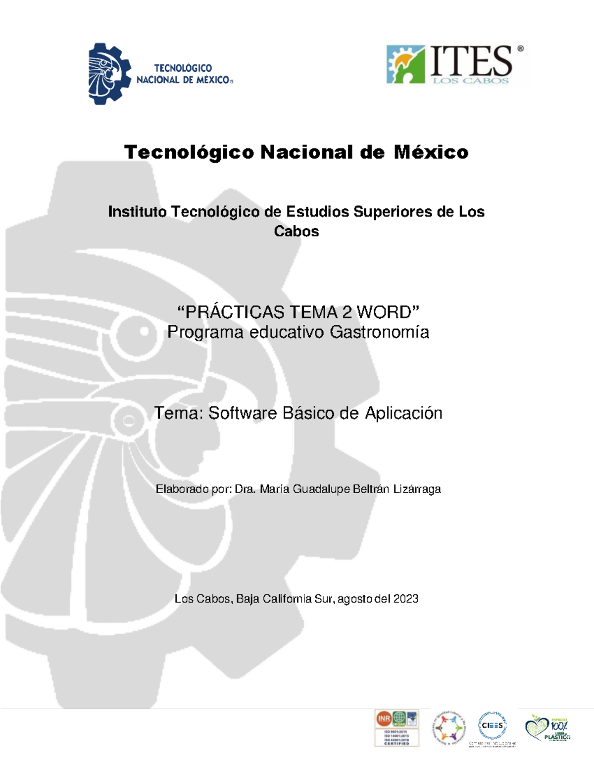 Practica WORD SAE - Te enseñamos paso a paso la mejor forma de ...
