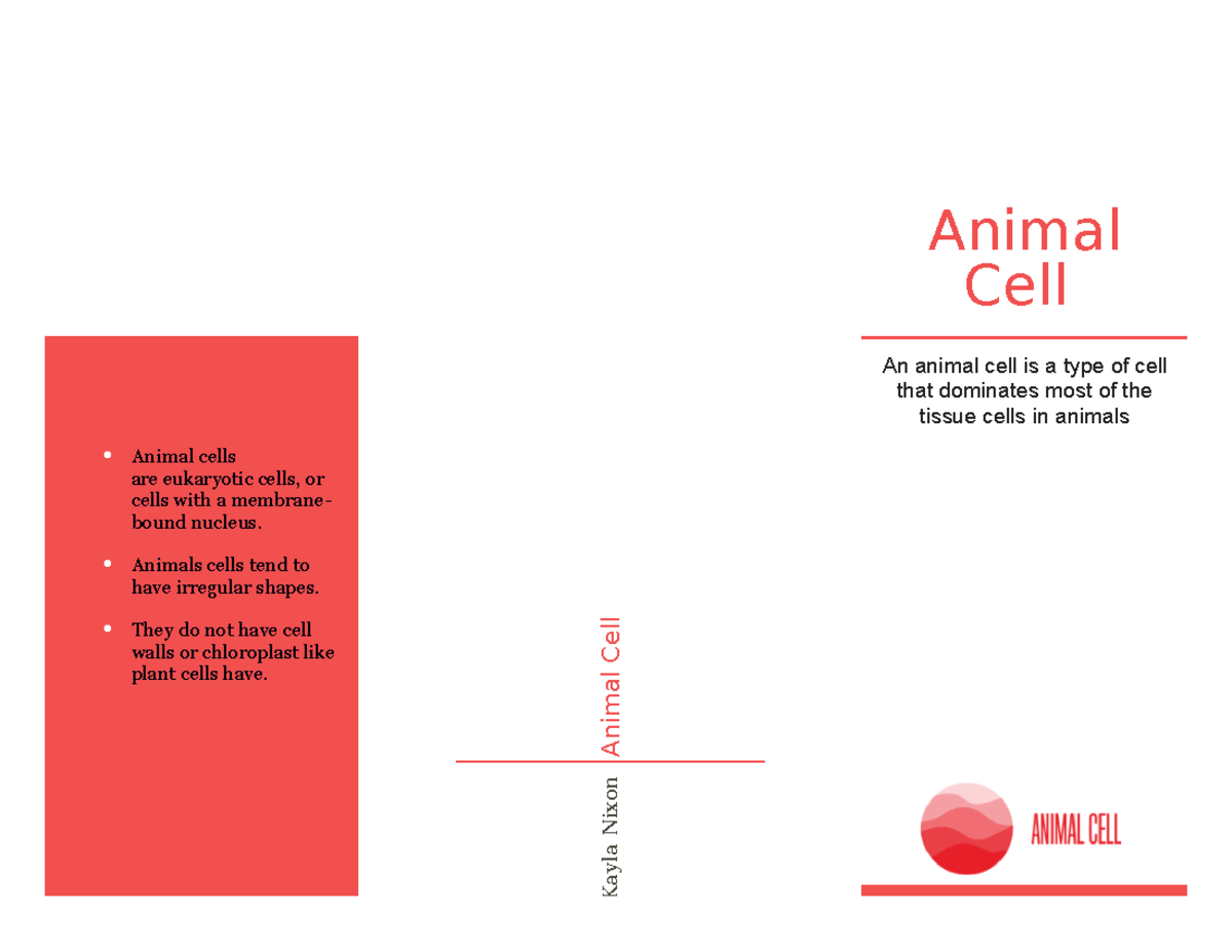Animal Cell Facts - Lecture notes 1 - Animal cells are eukaryotic cells ...