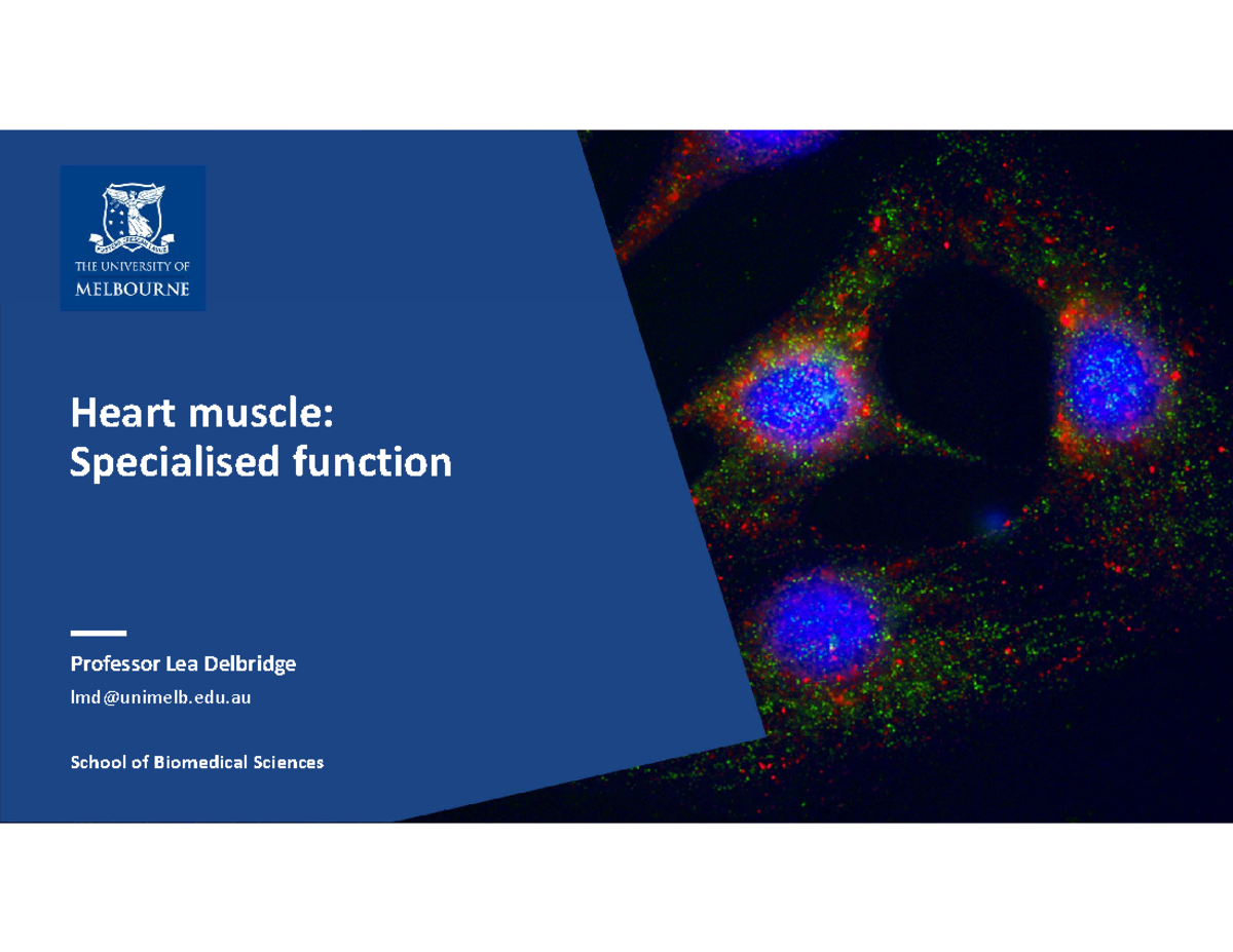 B1.2 PHYS30001 Heart Muscle Function final LMS (1)-1 - Heart muscle ...
