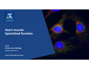 Practice challenge q studocu upload - PHYS30010: Advanced Human ...