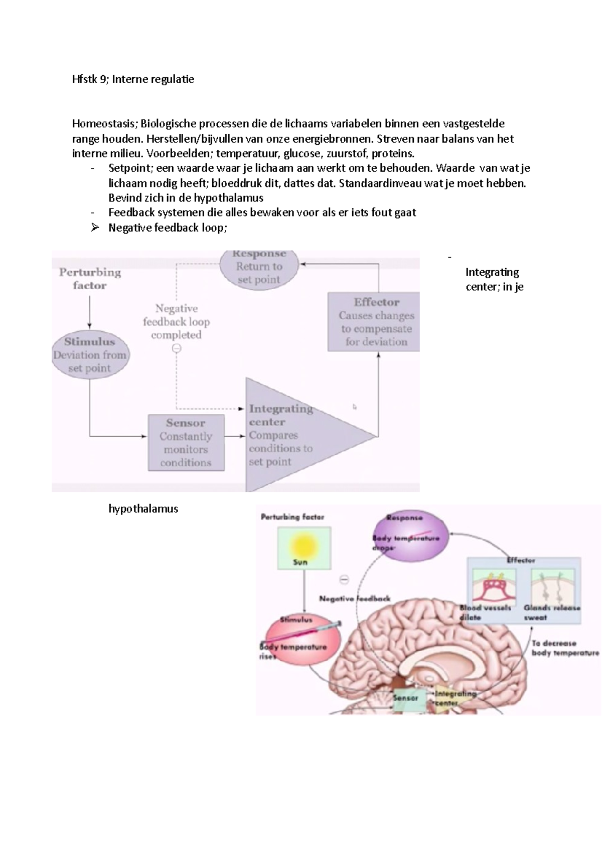 Hfstk 9 biopsychologie - Hfstk 9; Interne regulatie Homeostasis ...