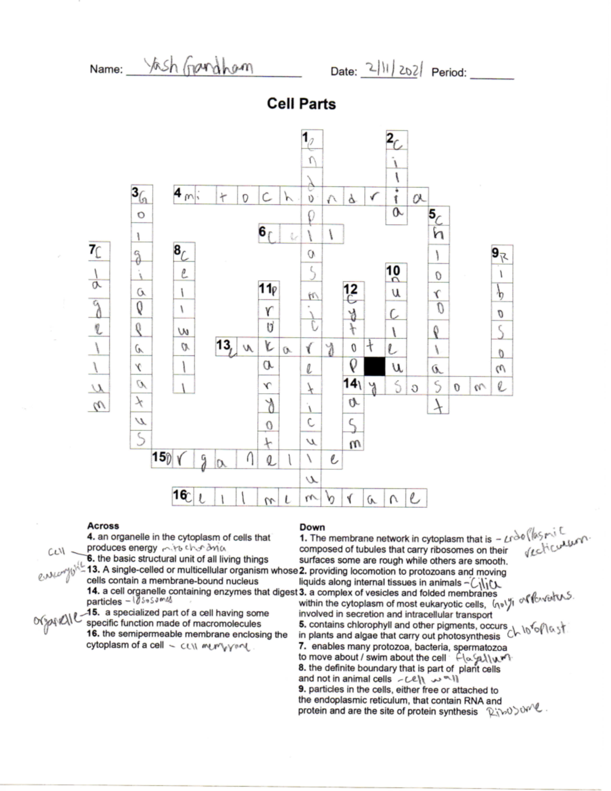Cell parts Puzzle - Hw for this calss - BIO 1530 - Studocu