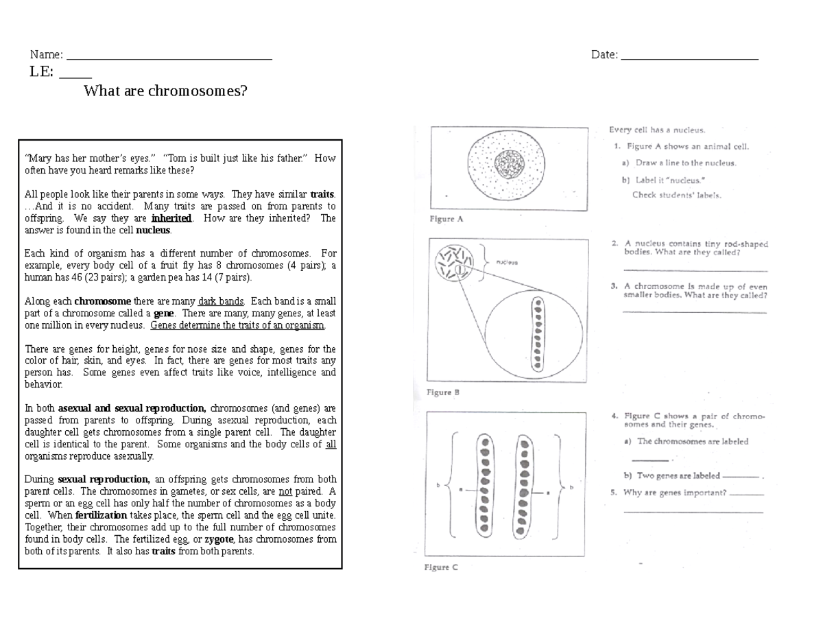 What are chromosomes - Reproductive system - Name ...