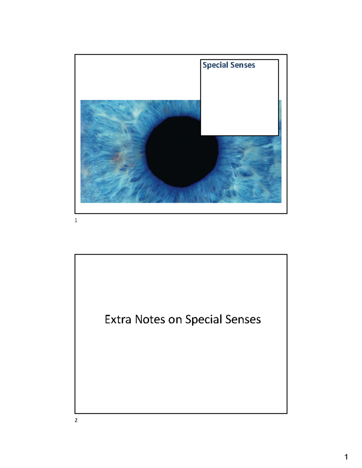 Special Senses - This will help the students to succeed in physiology ...