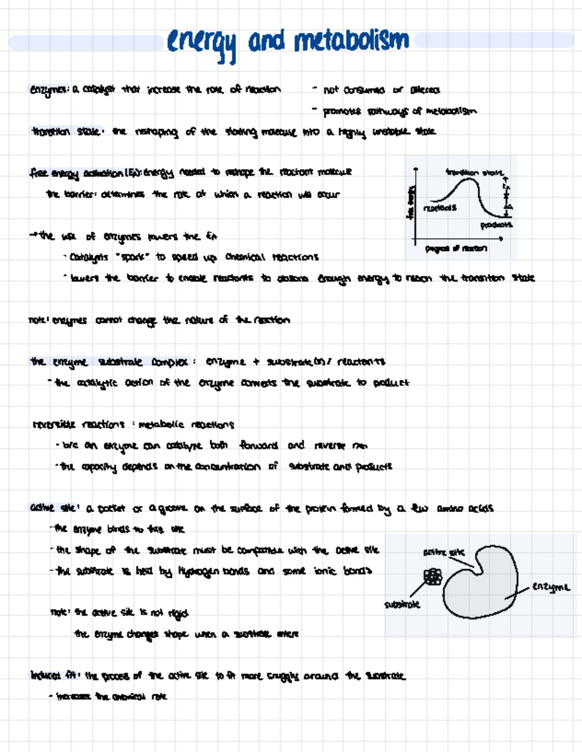 Summaries to study for exams - Warning: Error during font loading: XMLHttpRequest is not defined ...